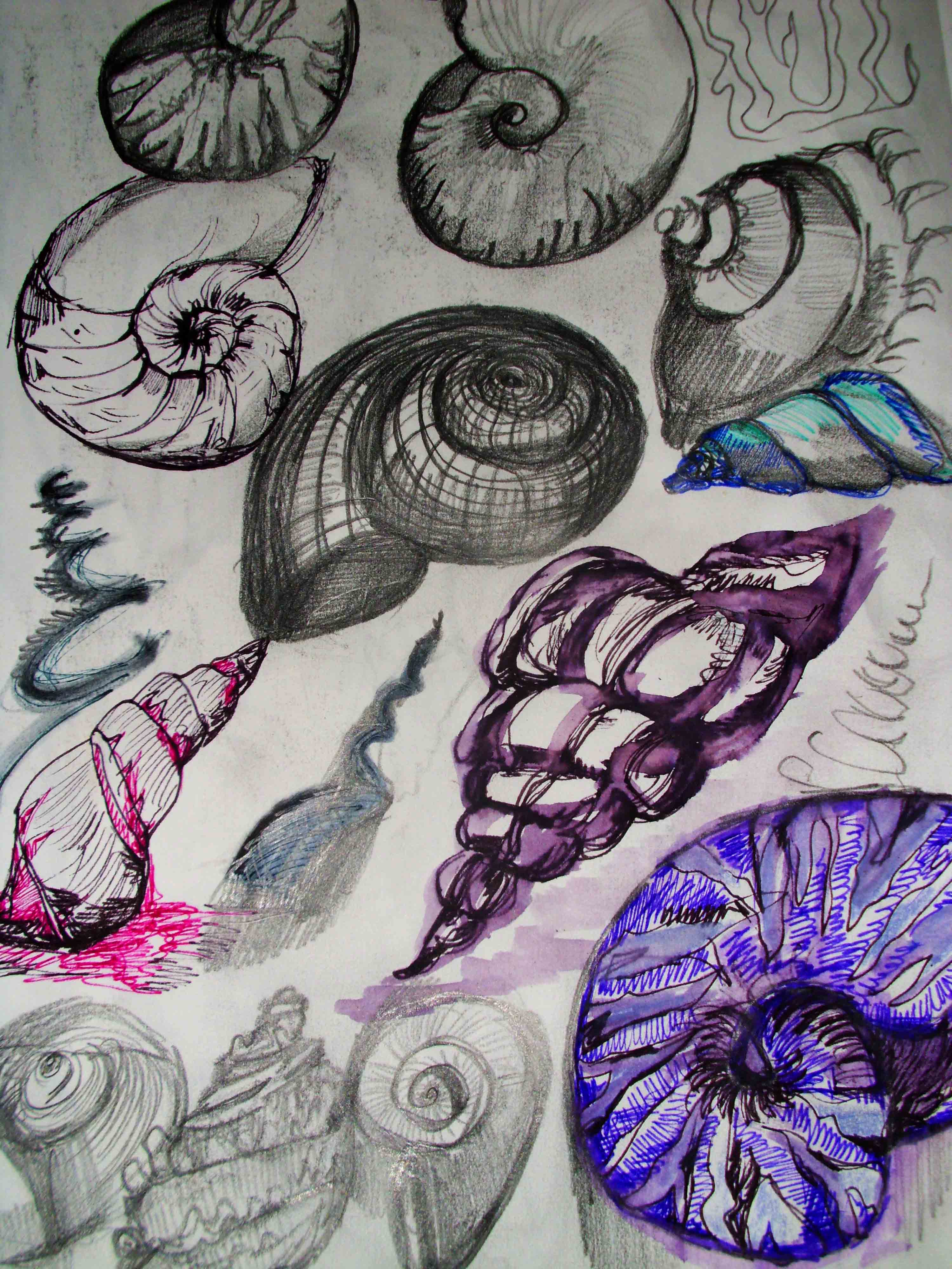 AR316 Caravanserai - myFolio@Kent